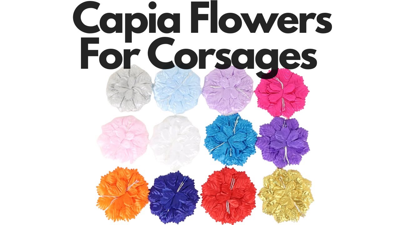 Capia Flowers Flat Carnation Capia Base for Corsages Bulk - YouTube