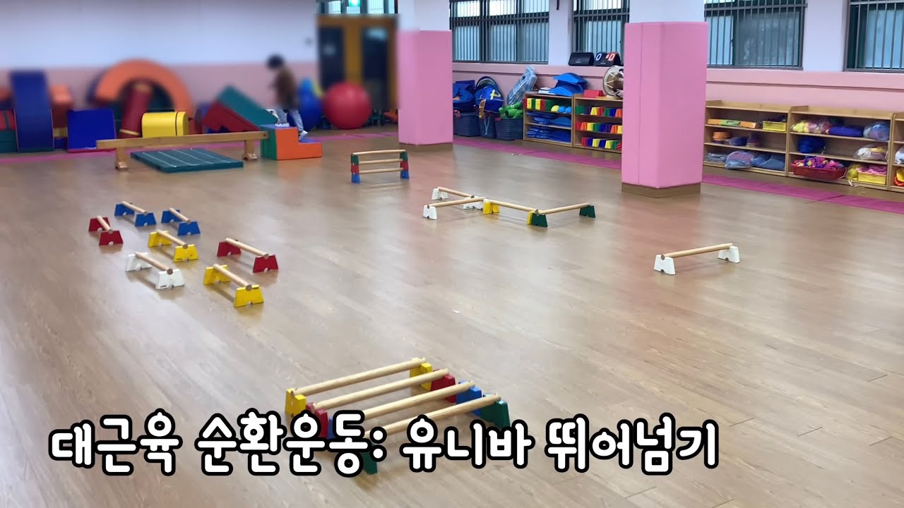 유아체육유치원체육체육유아신체유치원신체활동유니바유니바활동대근육활동 Youtube