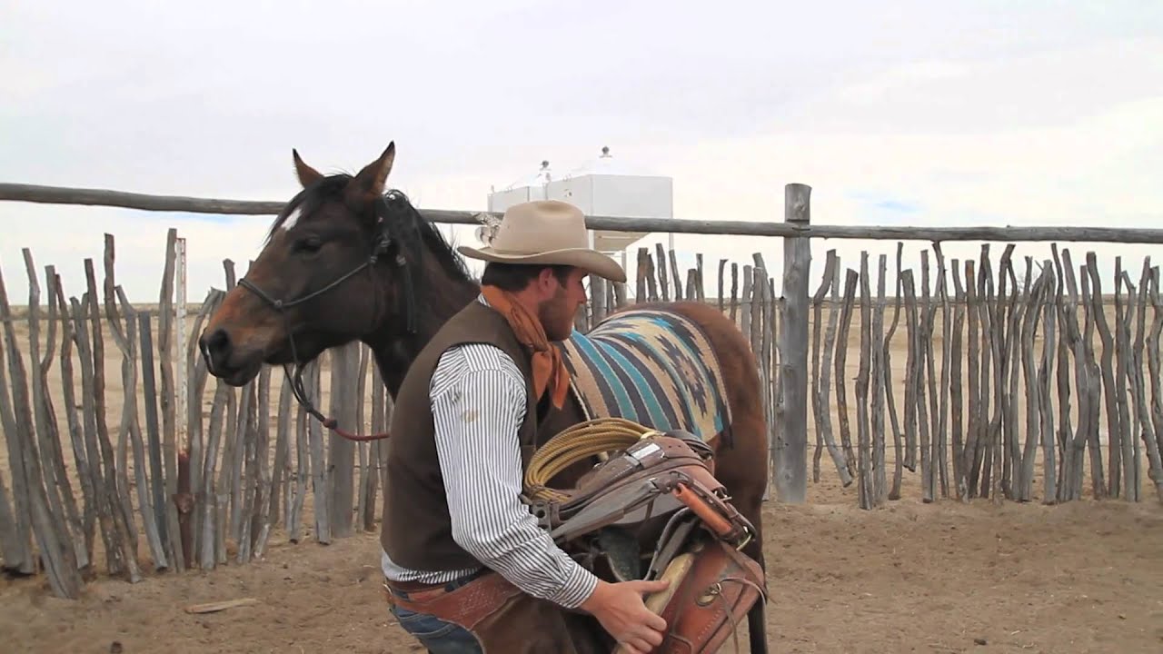 BREAKING COLTS - YouTube