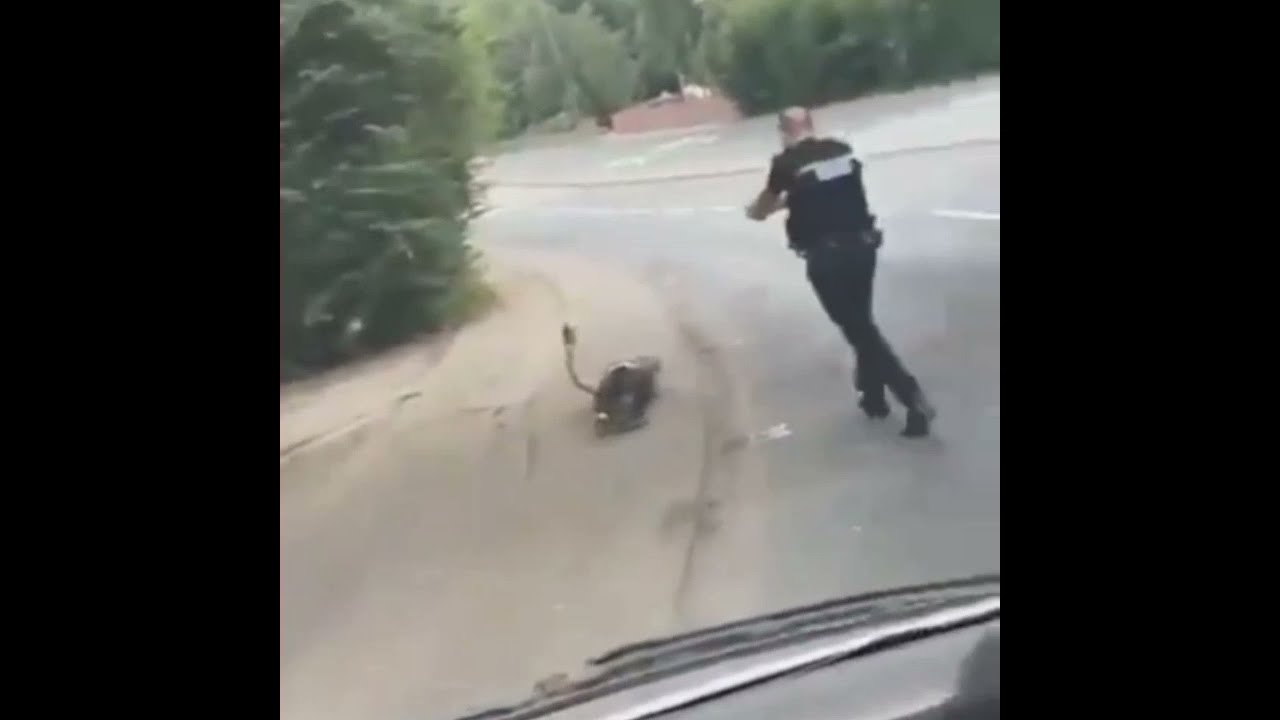 POLICE TASER MAN IN PAISLEY, SCOTLAND. MAN ATTACK POLICE WITH BASEBALL ...