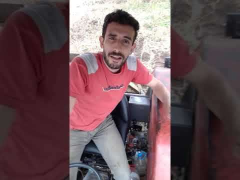 8073 findik fidani sökme