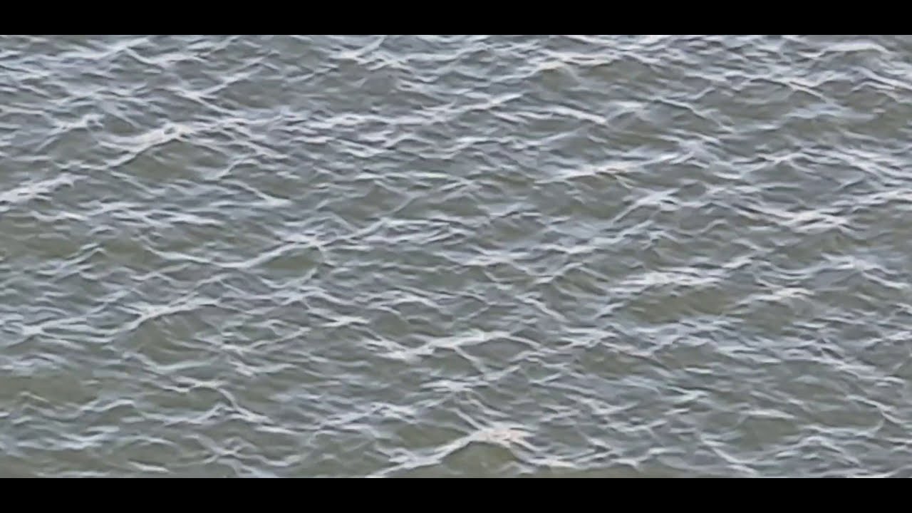 Ripples of water creates illusion - YouTube