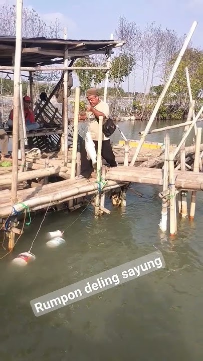 mancing rumpon!!! - YouTube