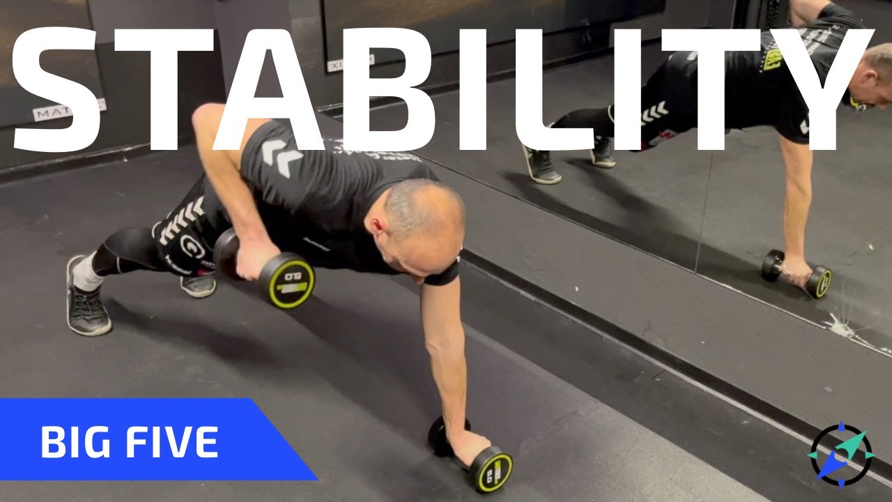 5 stability exercises for best prevention | my favorites to do in a gym ...