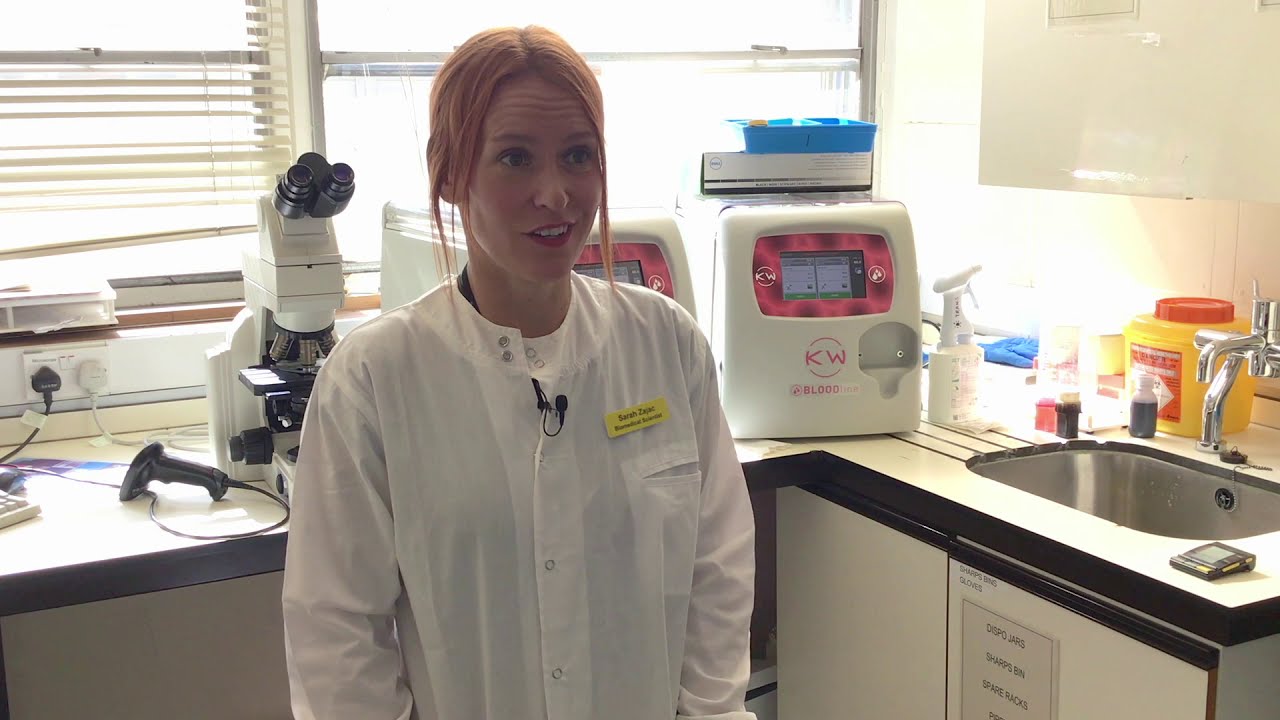 Role Of A Biomedical Scientist YouTube role-of-a-biomedical-scientist-youtube