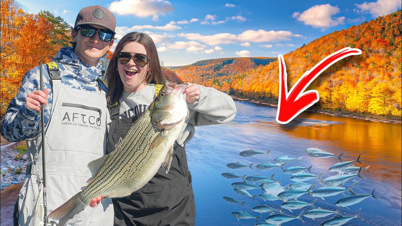 Taking My GIRLFRIEND Fishing For River MONSTERS - Big Bites - YouTube
