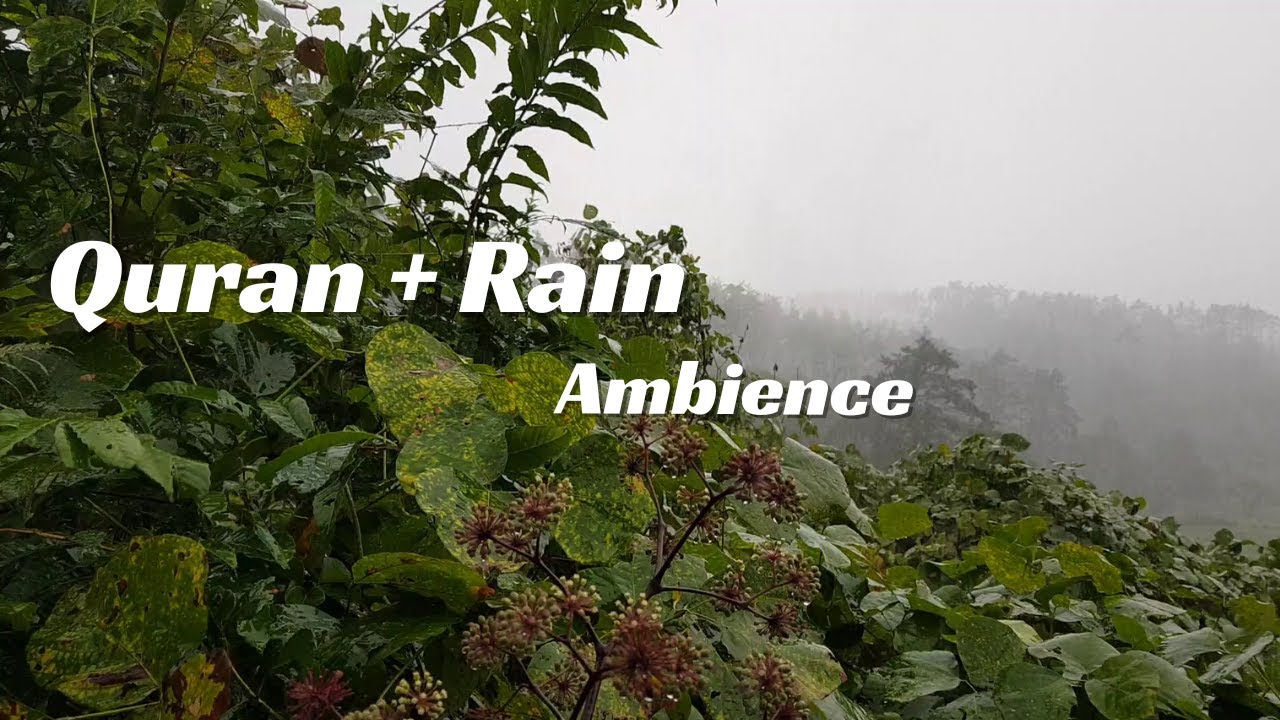 Beautiful and Relaxing Quran Recitation with Rain Ambience Quran Rain Sound