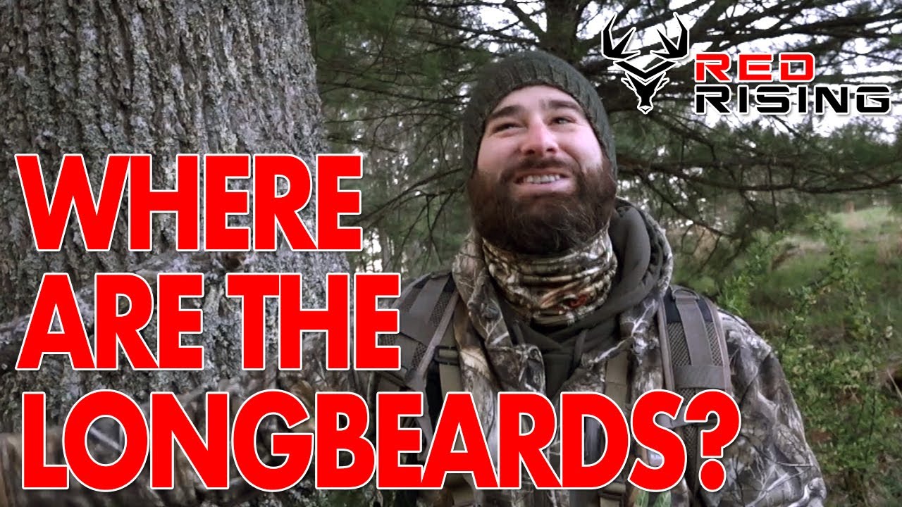 Opening Day... Can Jason Find the Turkey? [WILD TURKEY HUNTING] - YouTube