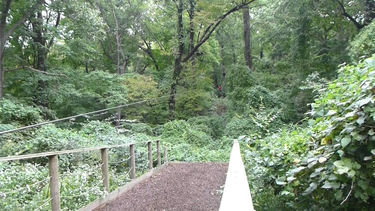 Zipline Wipeout - Jacob Lands Backwards - YouTube