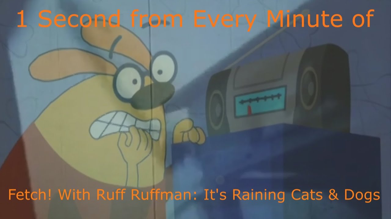 1 Second from Every Minute of Fetch! With Ruff Ruffman: It's Raining ...