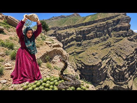 Mahrokh encountered a large snake while picking walnuts!🐉🐉🐍🐉🐍