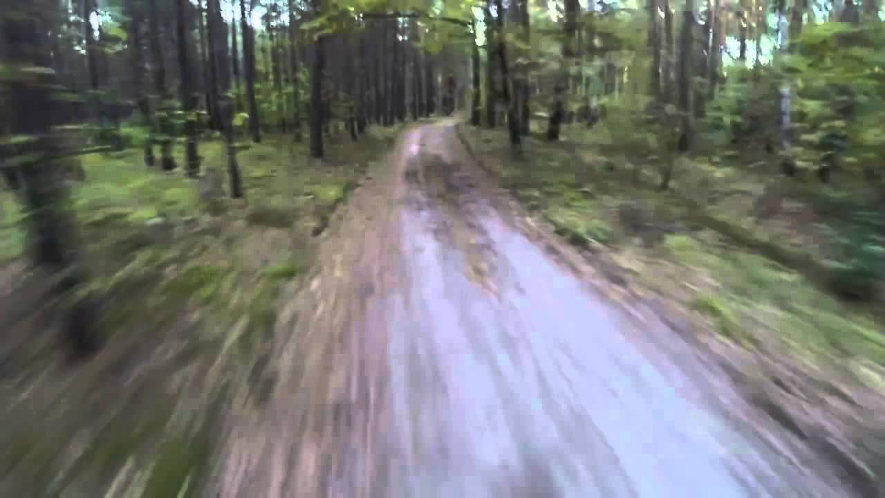 Grizzly Bear Chases Man On Bicycle Through The Woods - YouTube