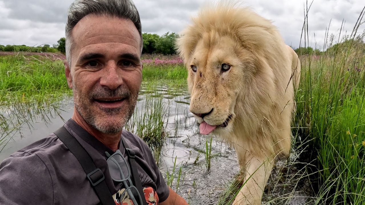 Best Wildlife Videos to Watch Right Now