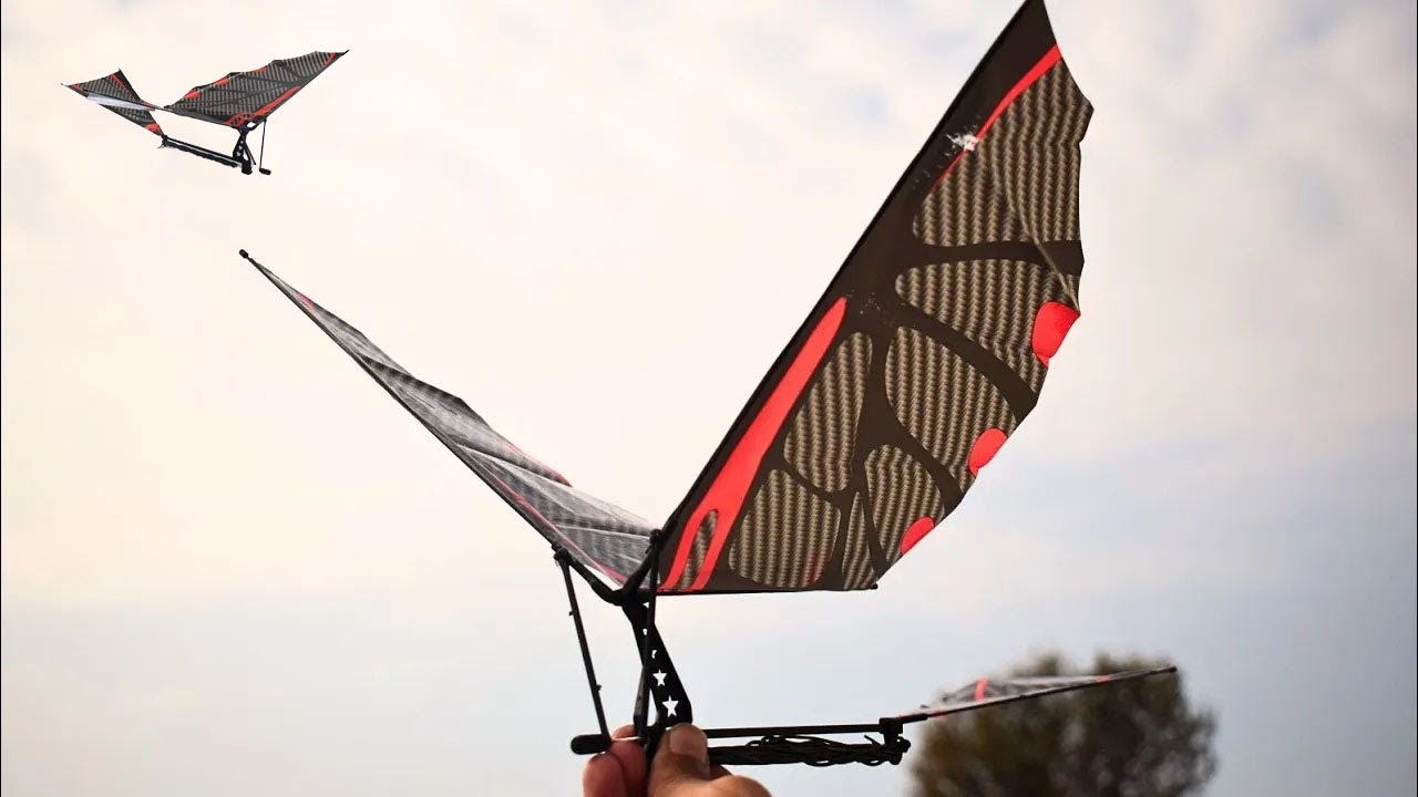 Make a Rubber band powered Flying bird - Amazing toy - #ornithopter ...