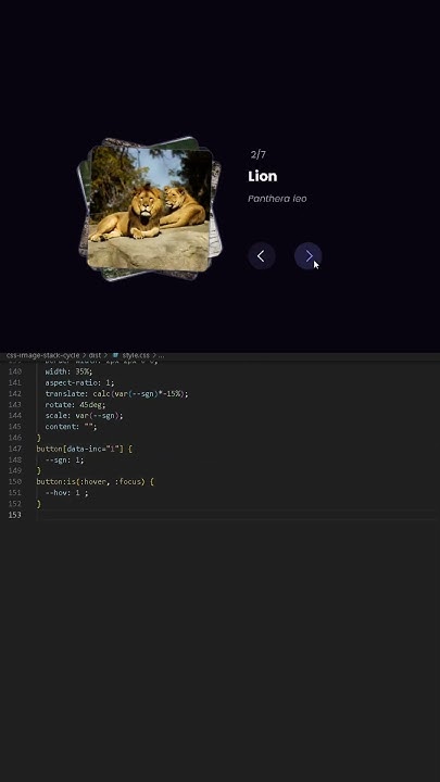 Image Slider Design😍programming Coding Css Htmlcss Shorts