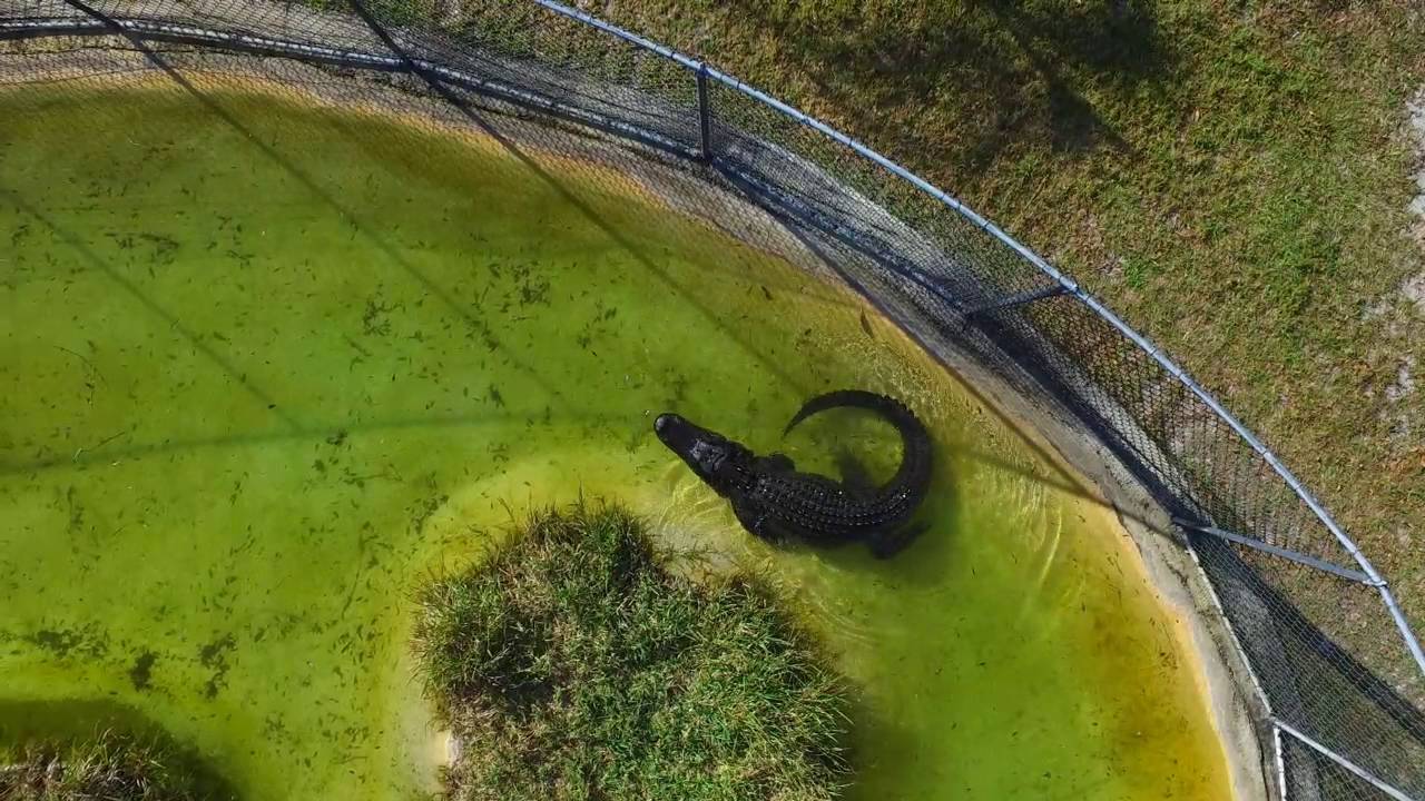 Reptile World Serpentarium presents - YouTube