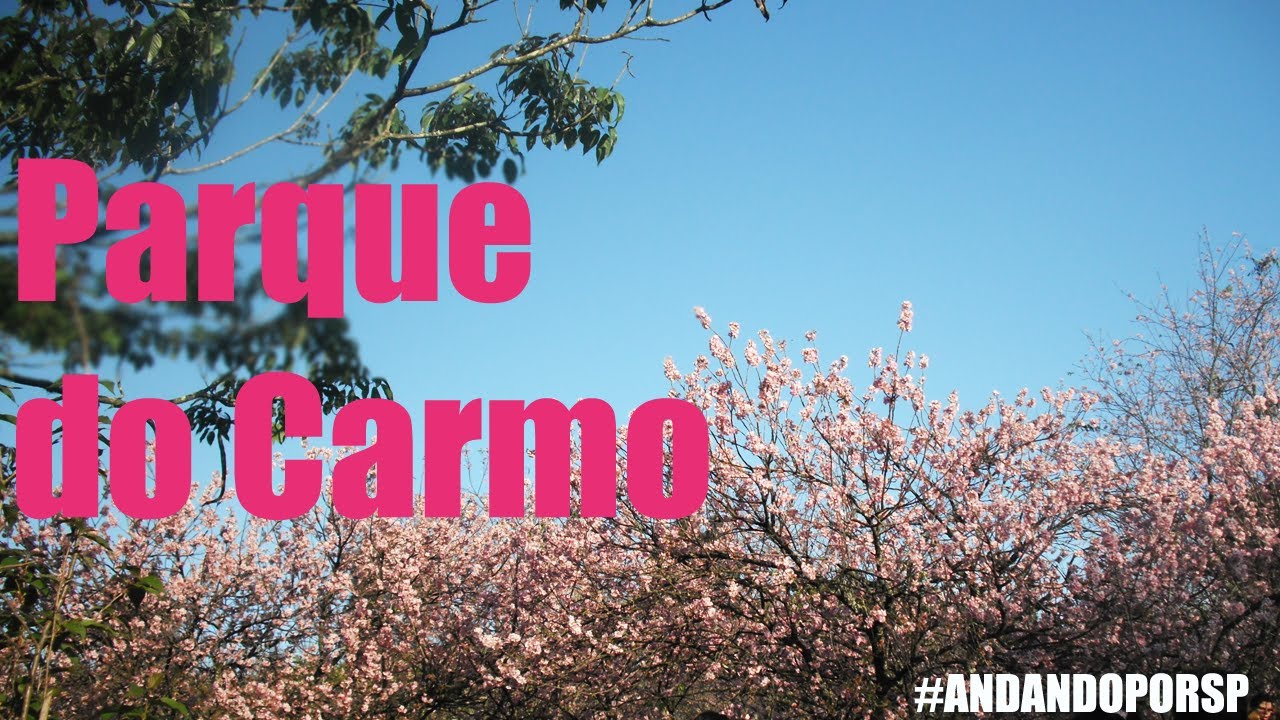 Andando por SP #39 - Parque do Carmo - YouTube