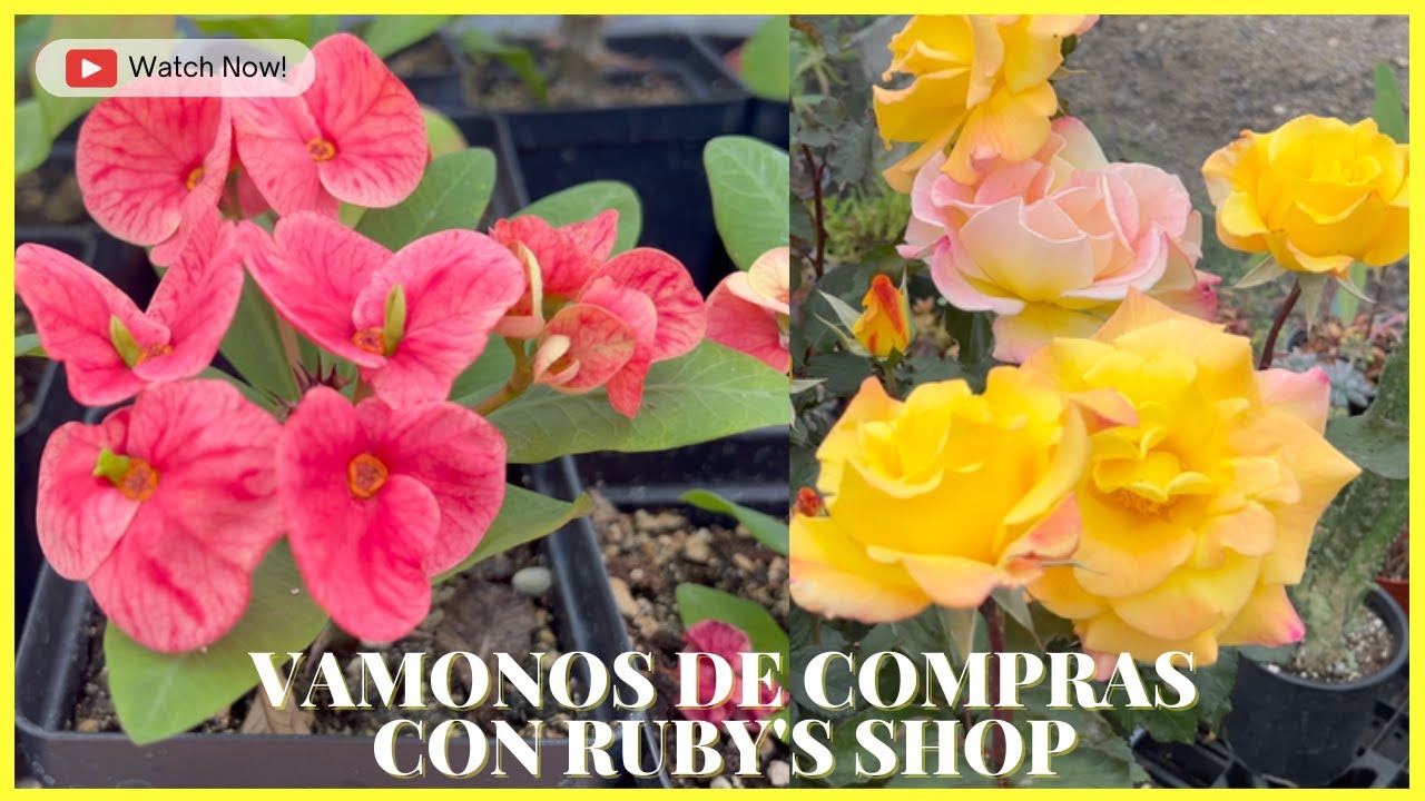 VAMONOS DE COMPRAS CON RUBY'S SHOP - YouTube