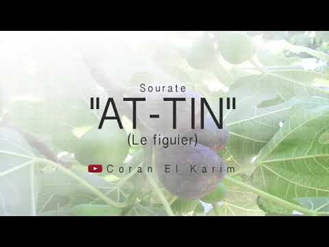 95 Sourate AT Tin سورة التين Saad El Ghamidi