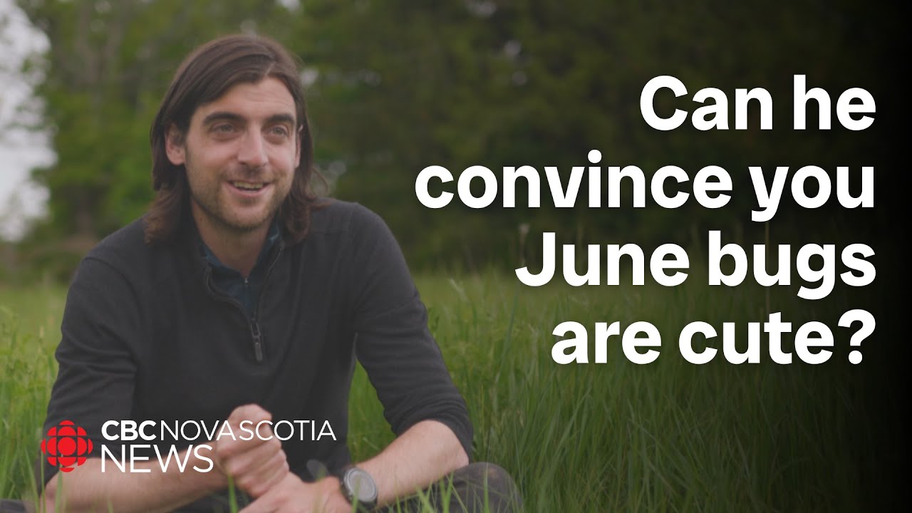 Hate June bugs? This researcher thinks they're misunderstood - YouTube