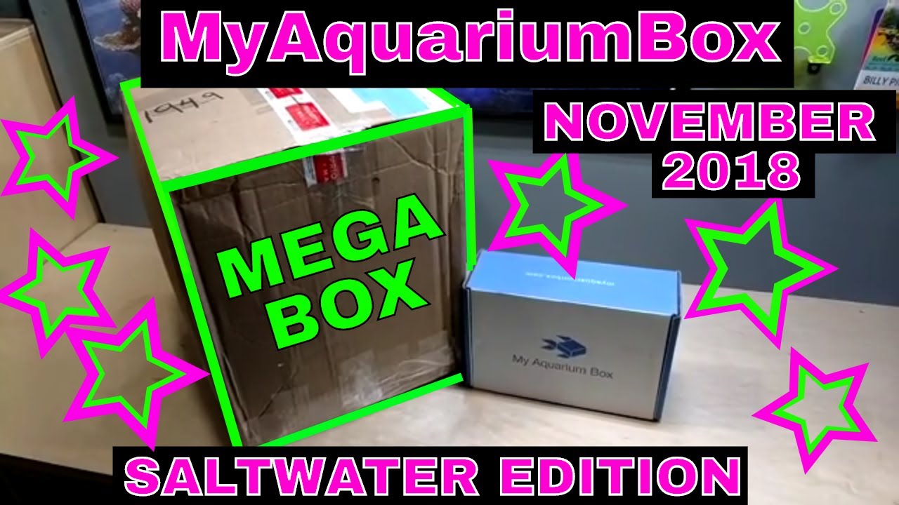#MyAquariumBox November 2018 - Saltwater Edition - Plus The Mega Box ...