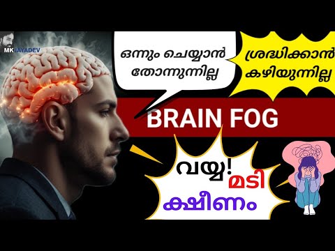 ജോലിയെടുക്കാൻ തോന്നാത്തതിന്റെ കാരണം Brain Fog ആയിരിക്കാം | Tips to ...
