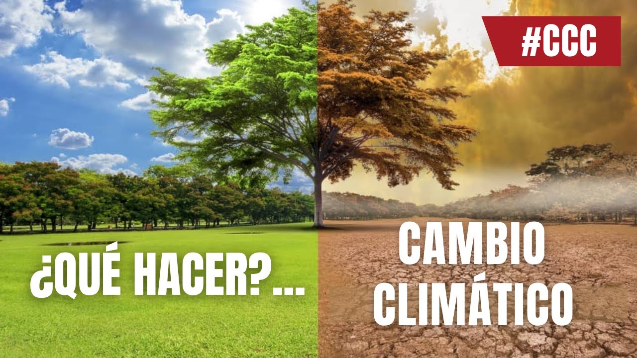 ¿QUÉ HACER? CAMBIO CLIMÁTICO | Entrevista Dr. Francisco Estrada Porrúa del PINCC - YouTube