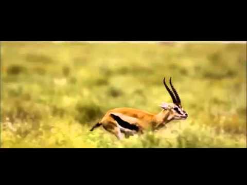 Emrah Karaduman ft. Demet Akalın - İntikam