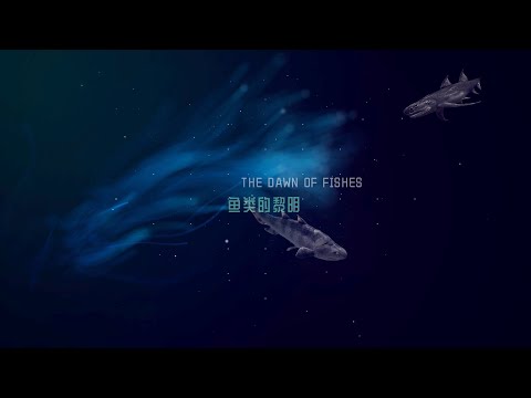 Fossils found in China shed light on how humans evolved from fish - The ...