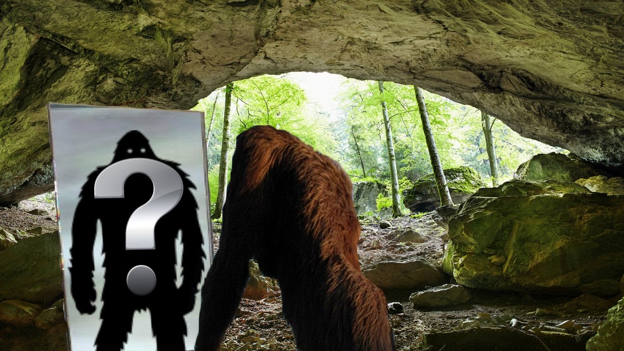 What Is A Cryptid? - YouTube