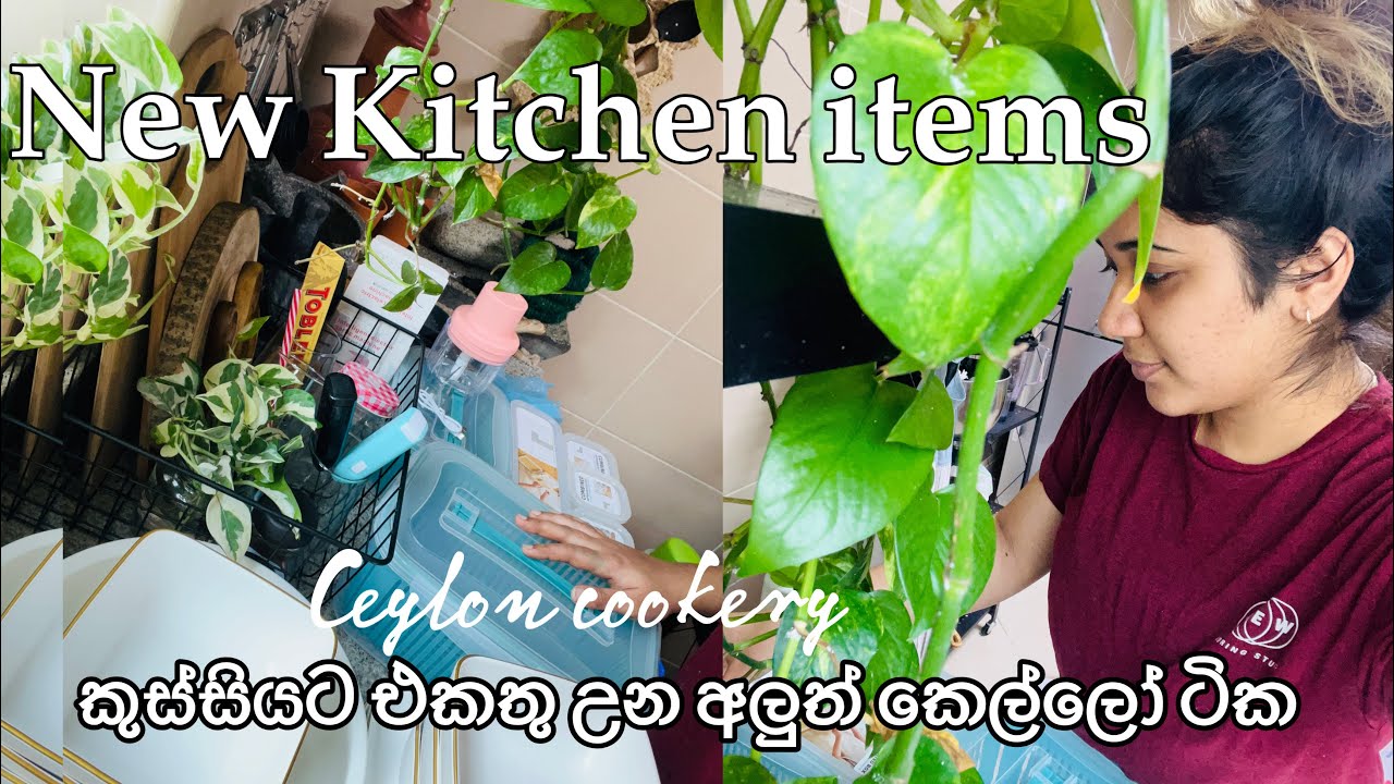 New kitchen items - කුස්සියට එකතු උන අලුත් කෙල්ලෝ ටික 😉 ️ - YouTube