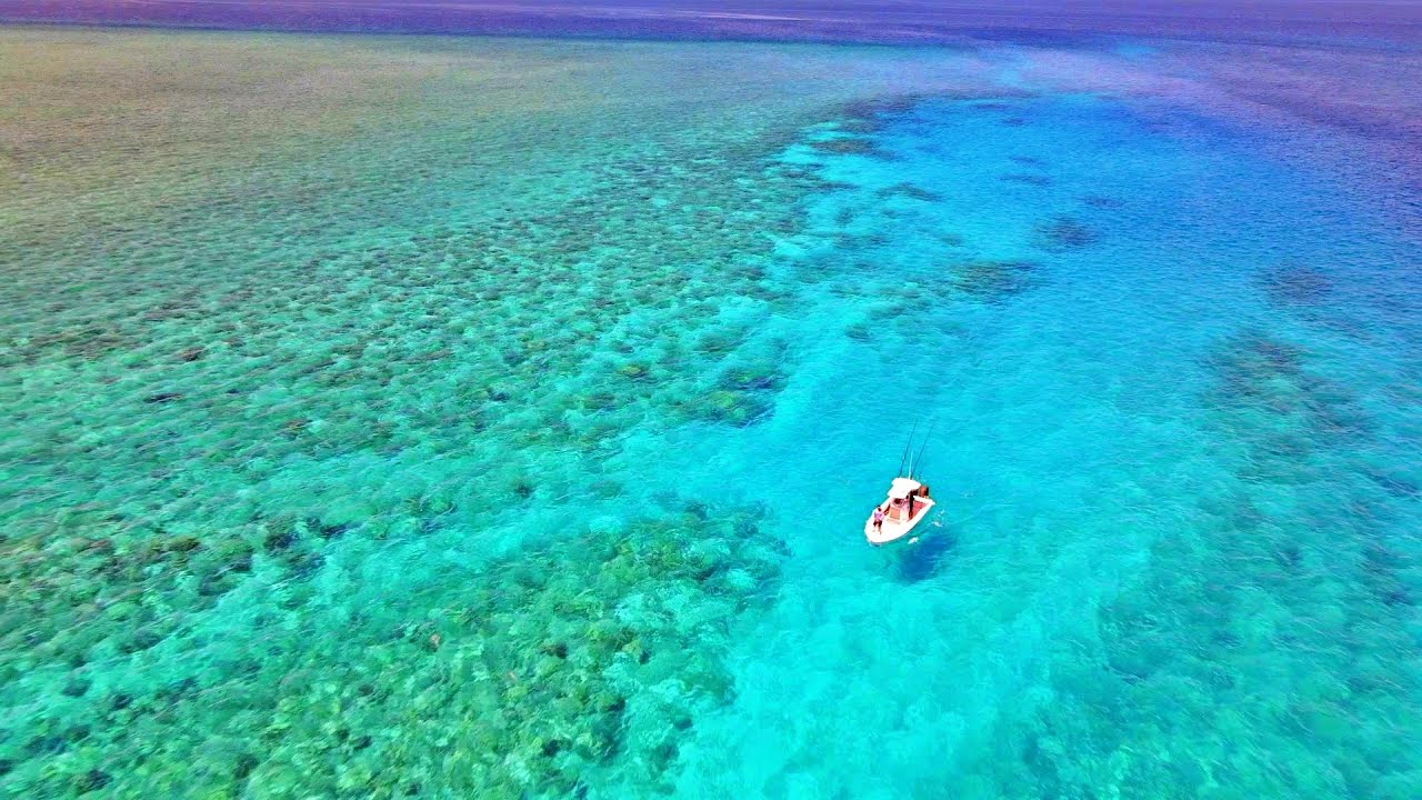 This fishing here is awesome! Fishing the Scott Reef Atoll - YouTube