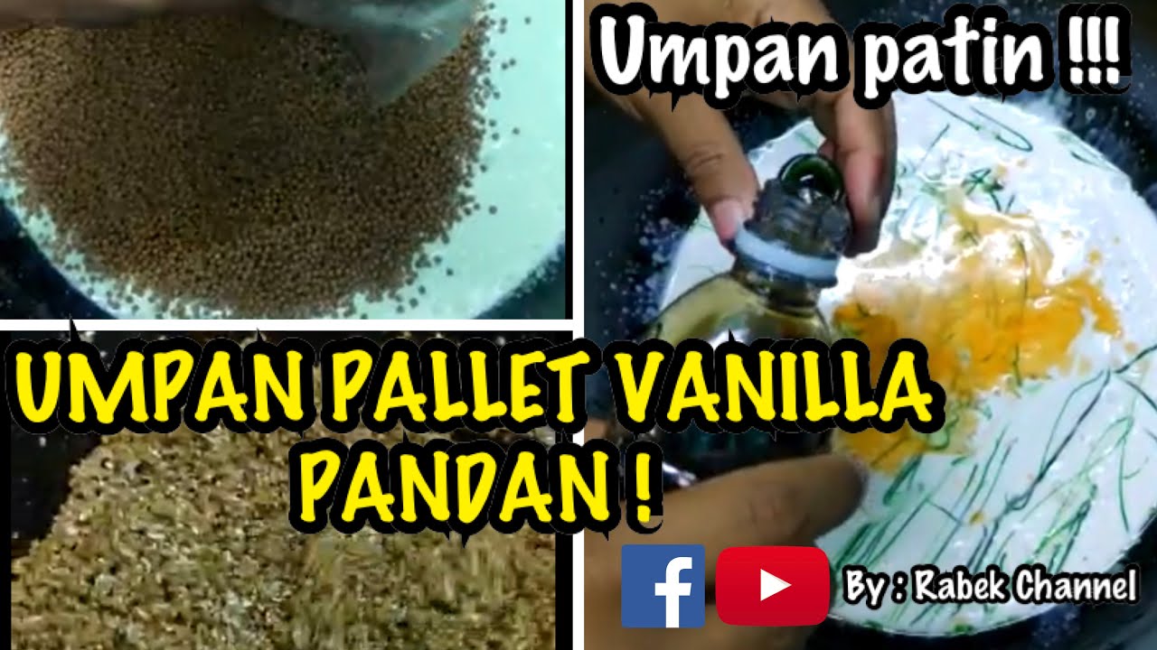 UMPAN PALLET VANILLA PANDAN #umpanpatin - YouTube