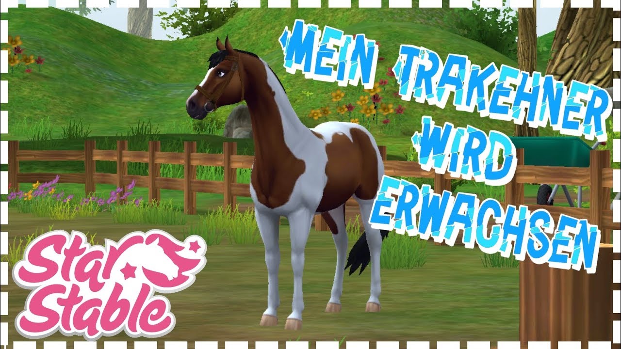 Star Stable【SSO】- Mein Trakehner - Die letzten Vorbereitungen auf ein ...