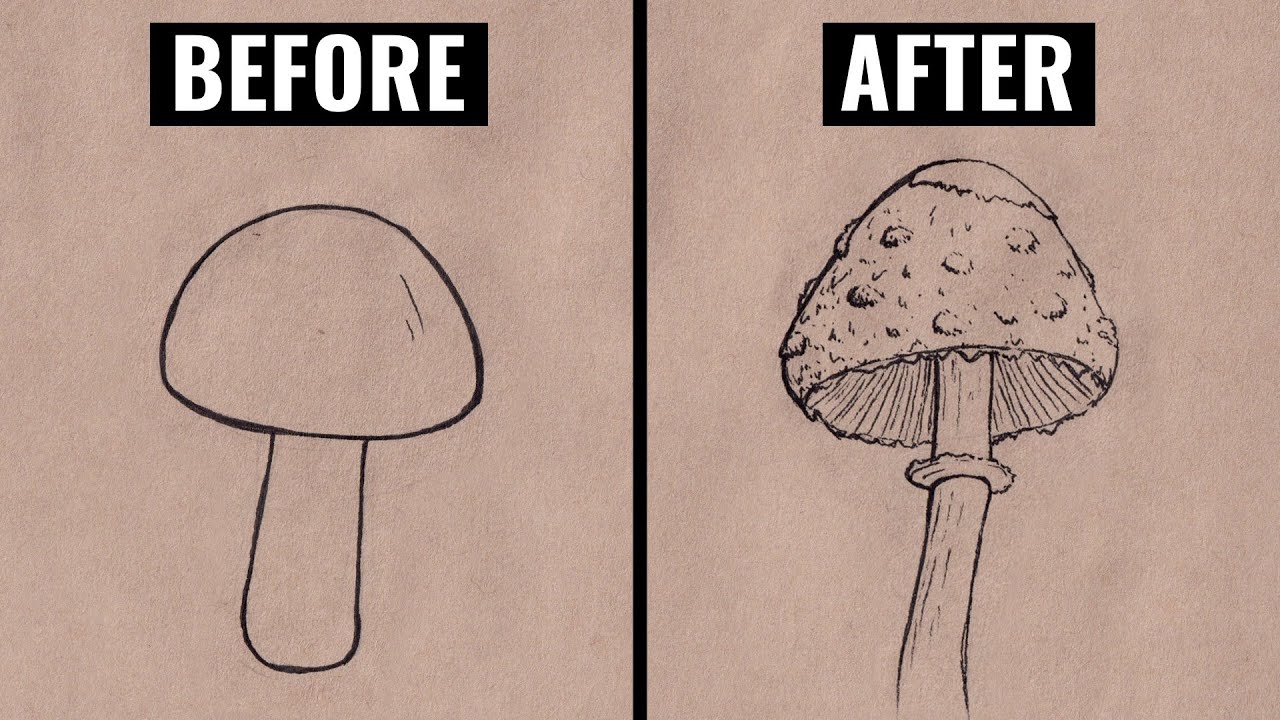 Basic Mushroom Structure for Artists - YouTube