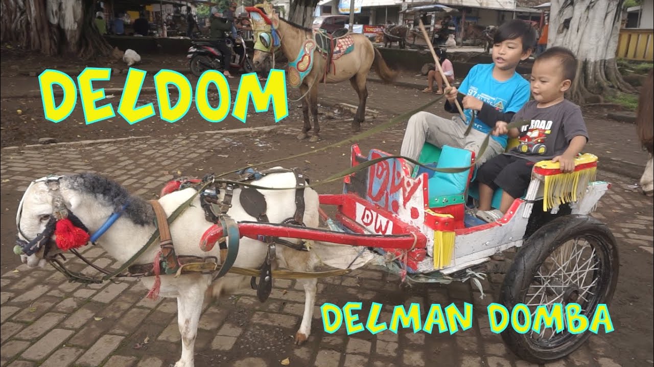 Naik DelDom (Delman Domba) asyik sekali Delman ditarik sama Domba - YouTube