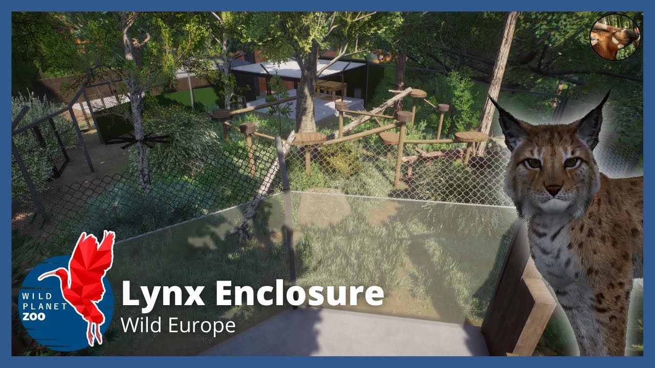 Wild Planet Zoo | Lynx Enclosure | Piece by Piece Build - YouTube
