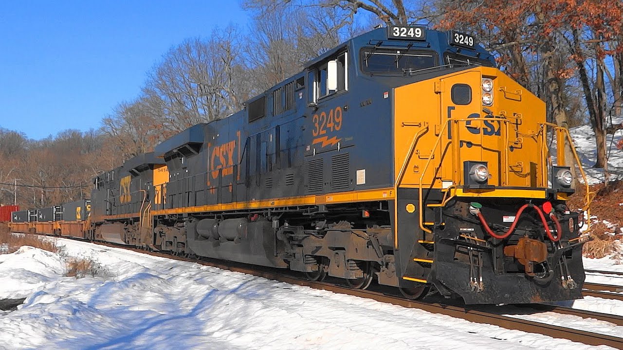 CSX Intermodal Train & A Hawk With A Catch 🦅 - YouTube