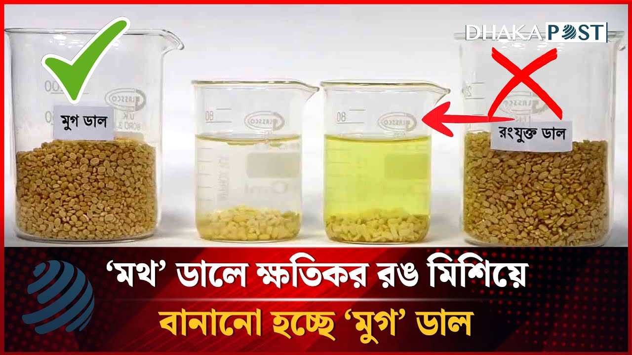 ‘মথ’ ডালে ক্ষতিকর রঙ মিশিয়ে বানানো হচ্ছে ‘মুগ’ ডাল | Fake Mung bean ...