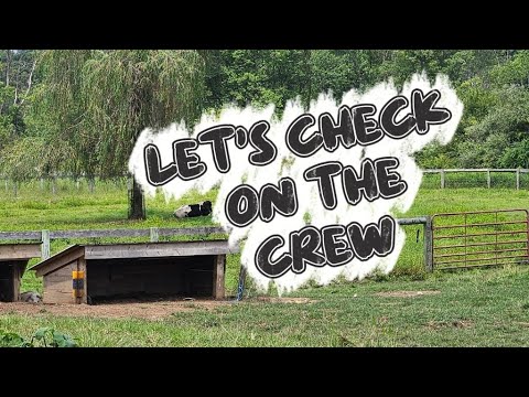 Let's go see our crew - YouTube