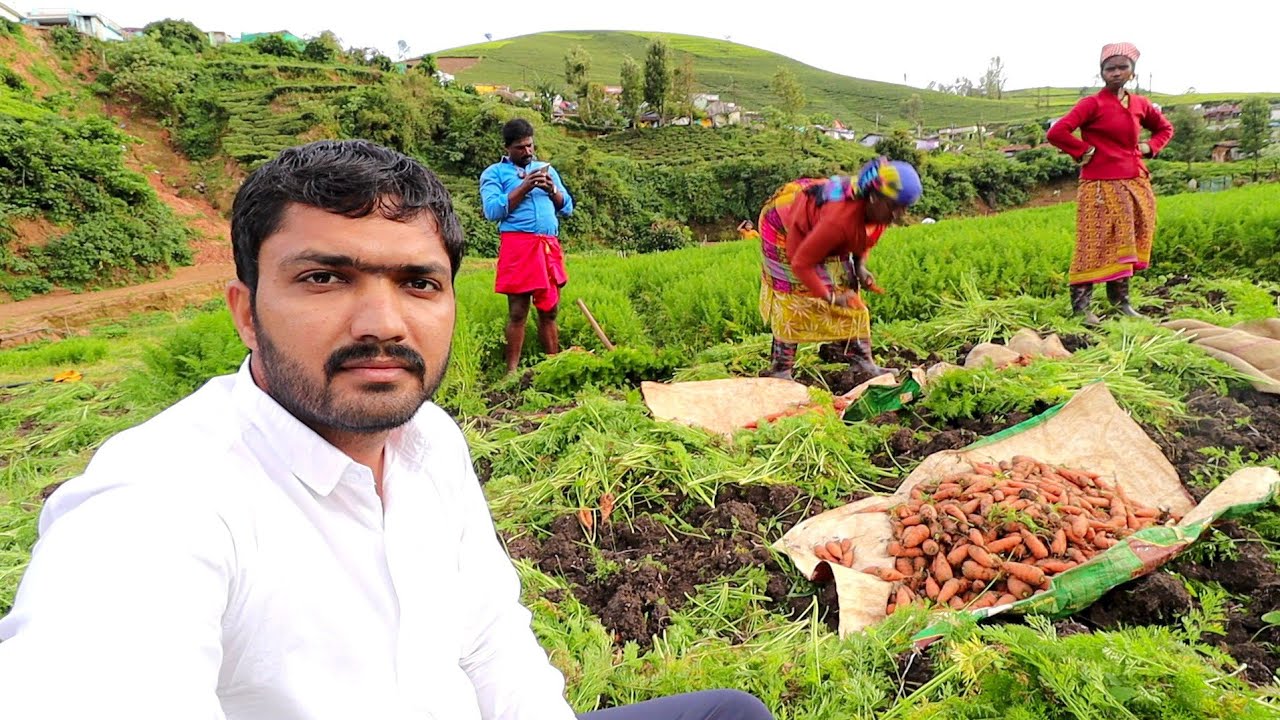 Ooty Village Life YouTube ooty-village-life-youtube