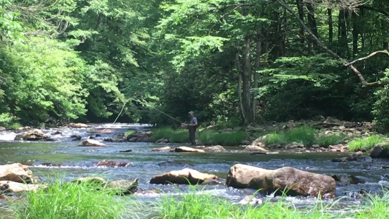 Fly Fishing Mud Run PA, just a peaceful day. - YouTube