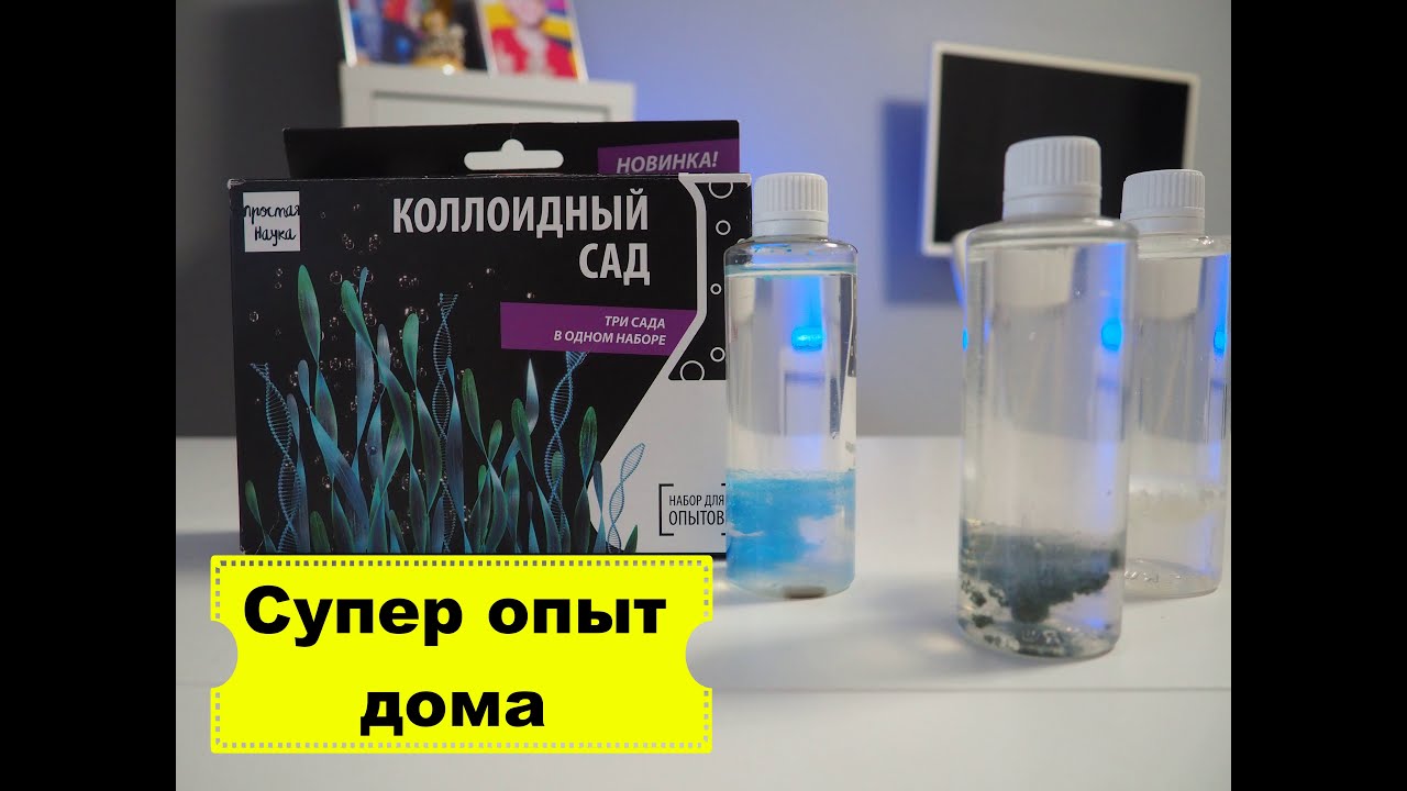 Делаем опыт "Коллоидный сад" дома. Опасные эксперименты. - YouTube