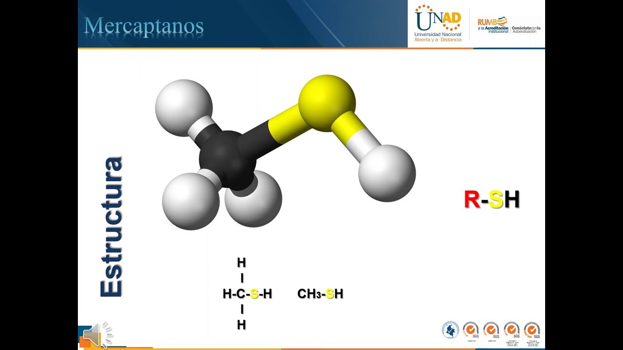 Mercaptanos - YouTube