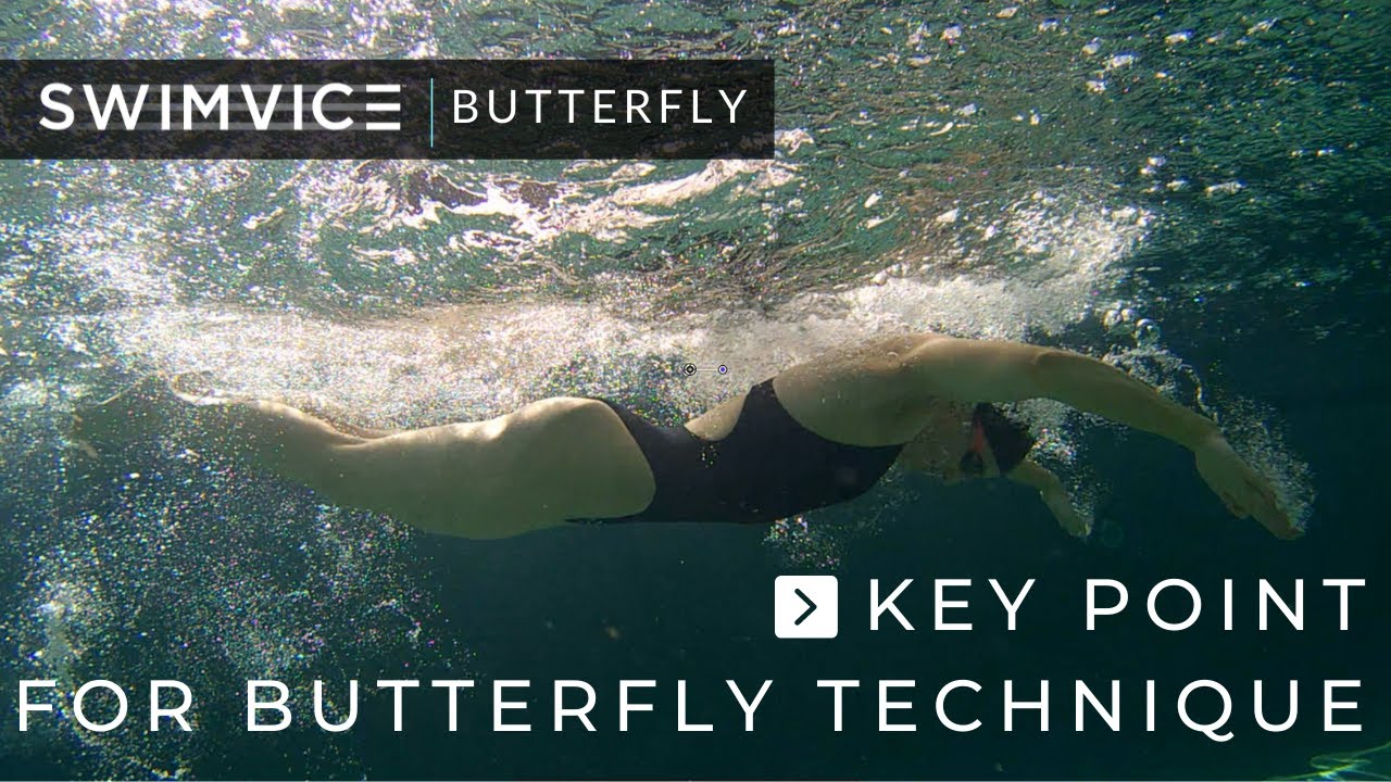 How To Improve Your Butterfly Technique With This Key Point YouTube how-to-improve-your-butterfly-technique-with-this-key-point-youtube