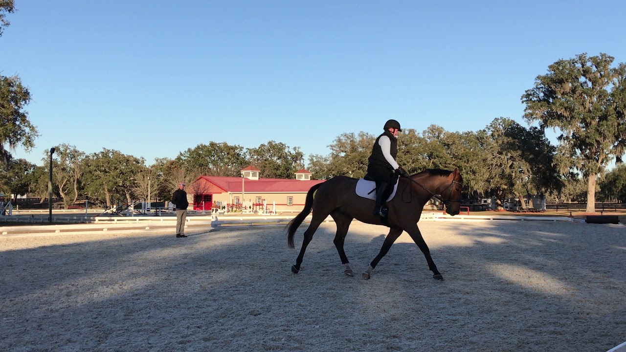 Dressage Lesson with James Burtwell 1.15.2018 - YouTube