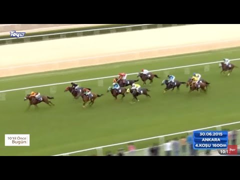 🏇 Tay TV Canlı Yayını