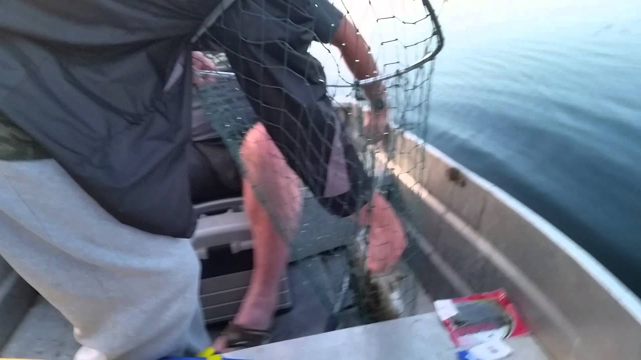 Salt Spring Fishing 2014 NSFW Double header Massive Bass - YouTube