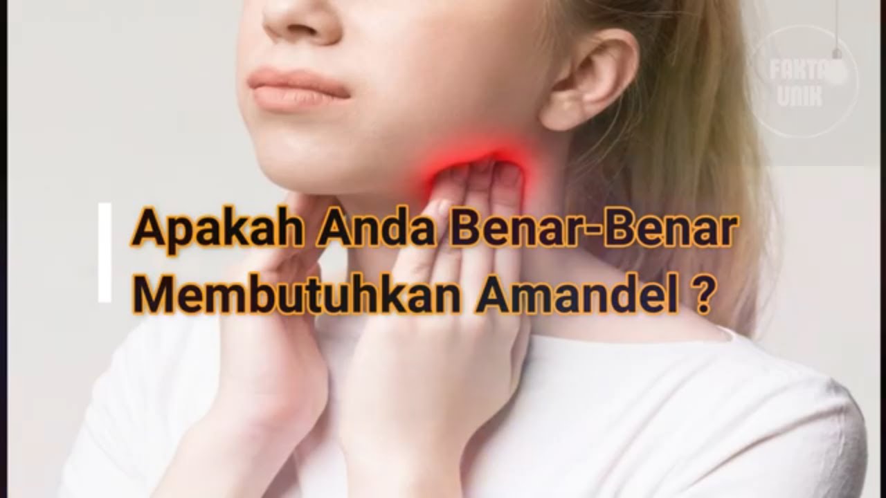 Apakah Kita Membutuhkan Amandel ? - Fakta Amandel - YouTube
