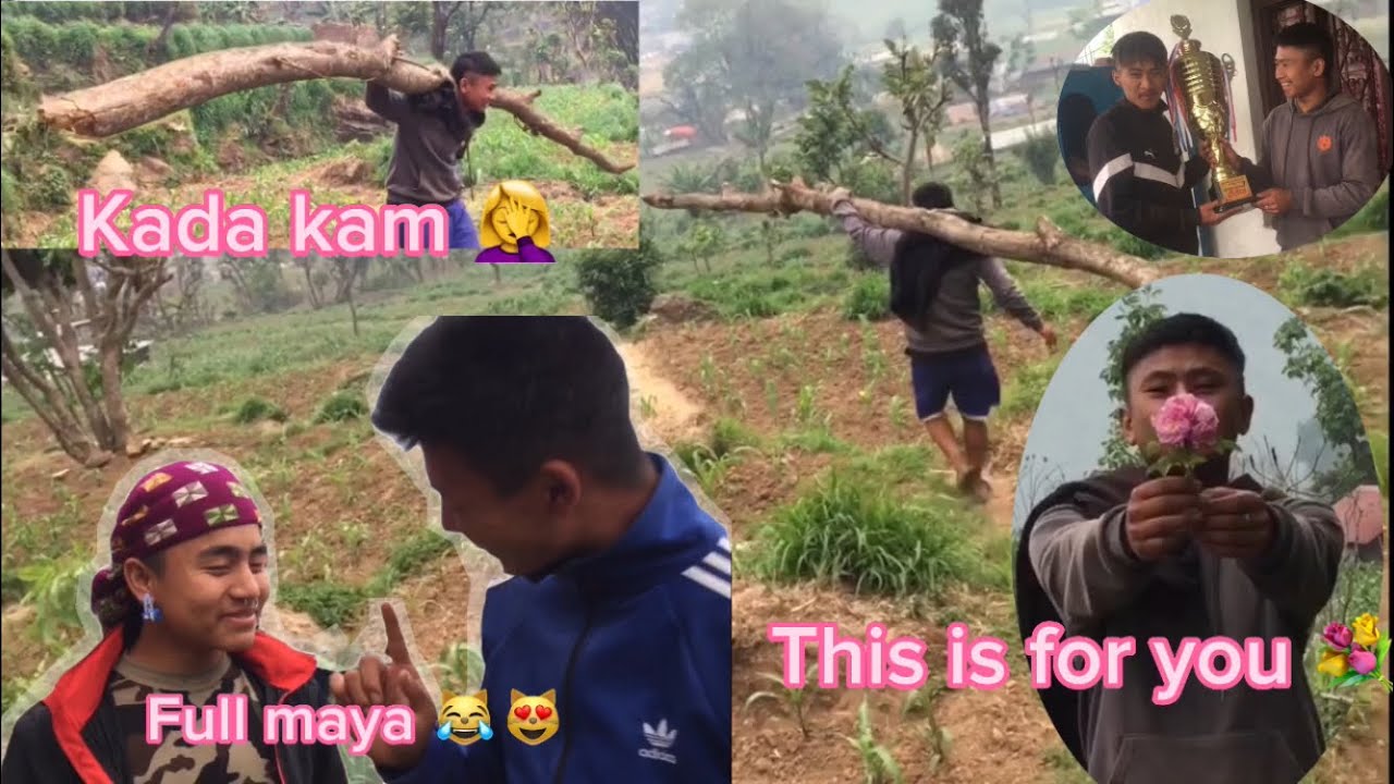 Kam garnu pareyo😭/full maya geet ma TikTok 😹/gau ghr tira ramilo te ...